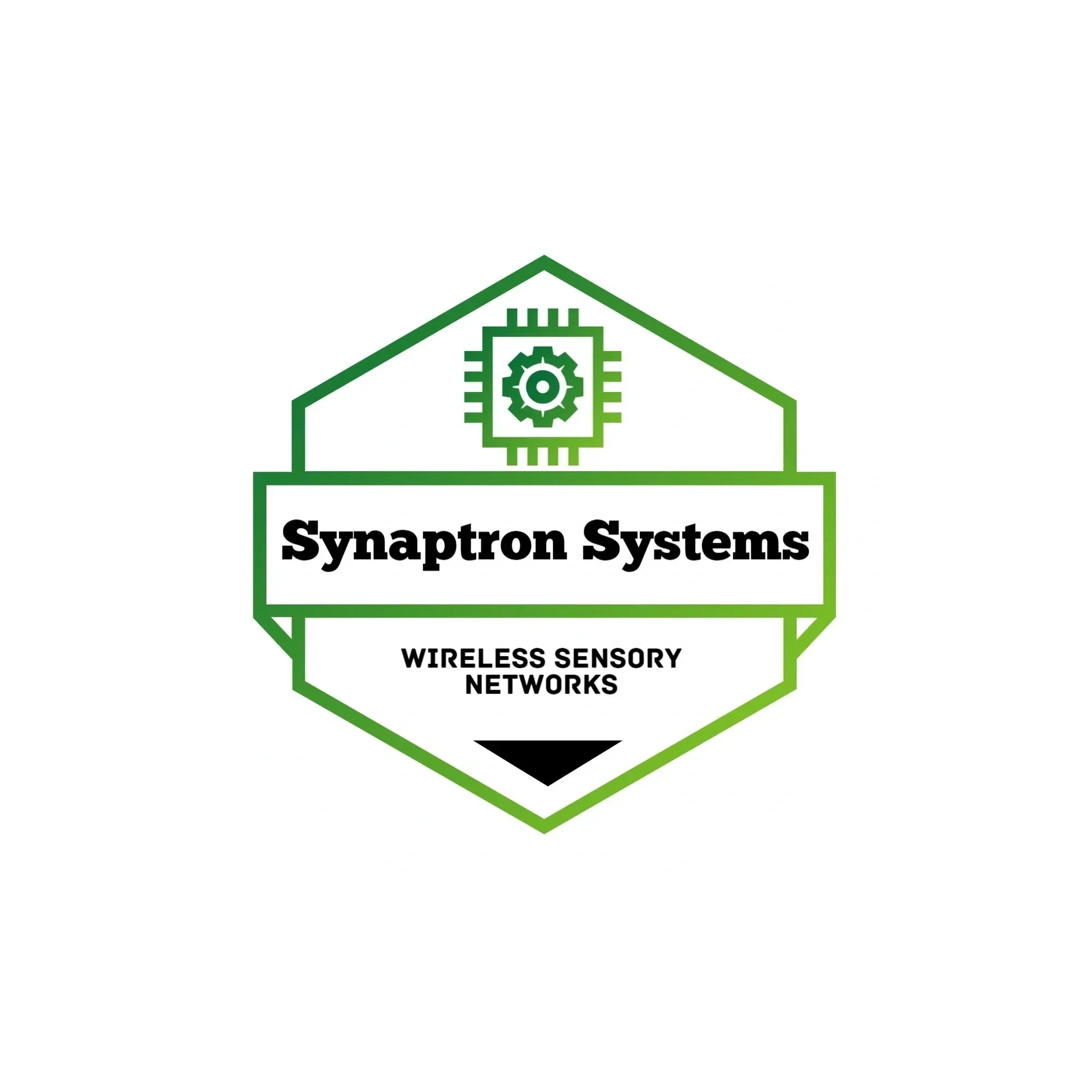Synaptron Systems